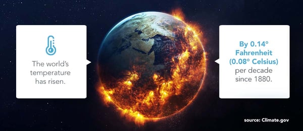 Heatwaves: how do they affect air quality?