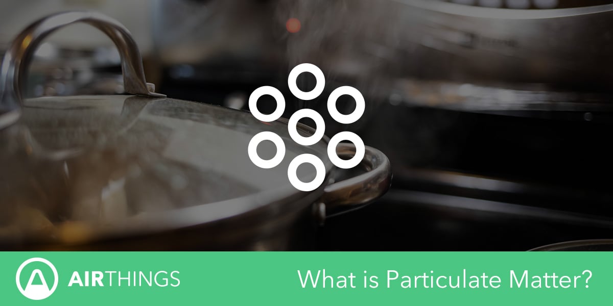 What is particulate matter?